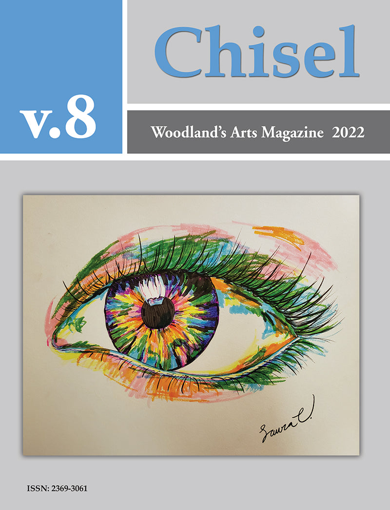 Chisel Volume 8 — Volumes Publishing