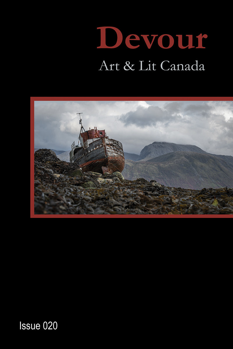 Devour- Art & Lit Canada - Issue 020 — Volumes Publishing