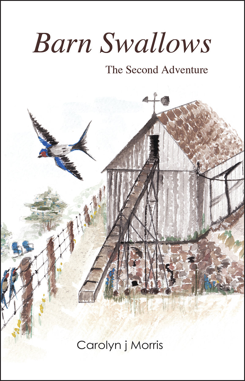 Barn Swallows — Volumes Publishing