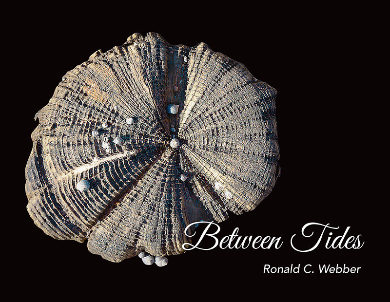 Between Tides — Volumes Publishing