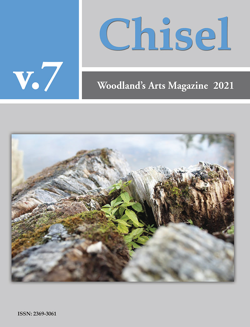 Chisel Volume 7 — Volumes Publishing